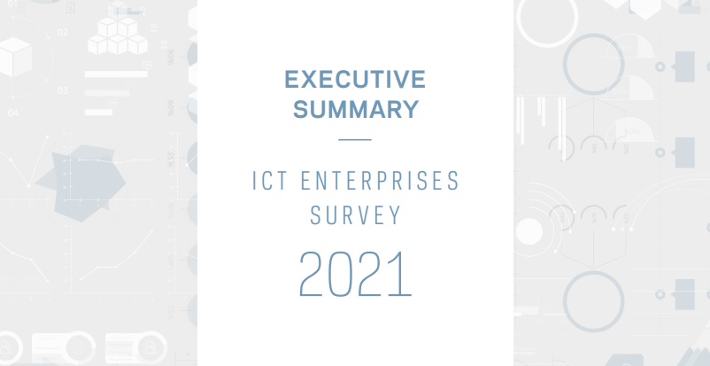 Executive Summary - Survey on the Use of Information and Communication ...